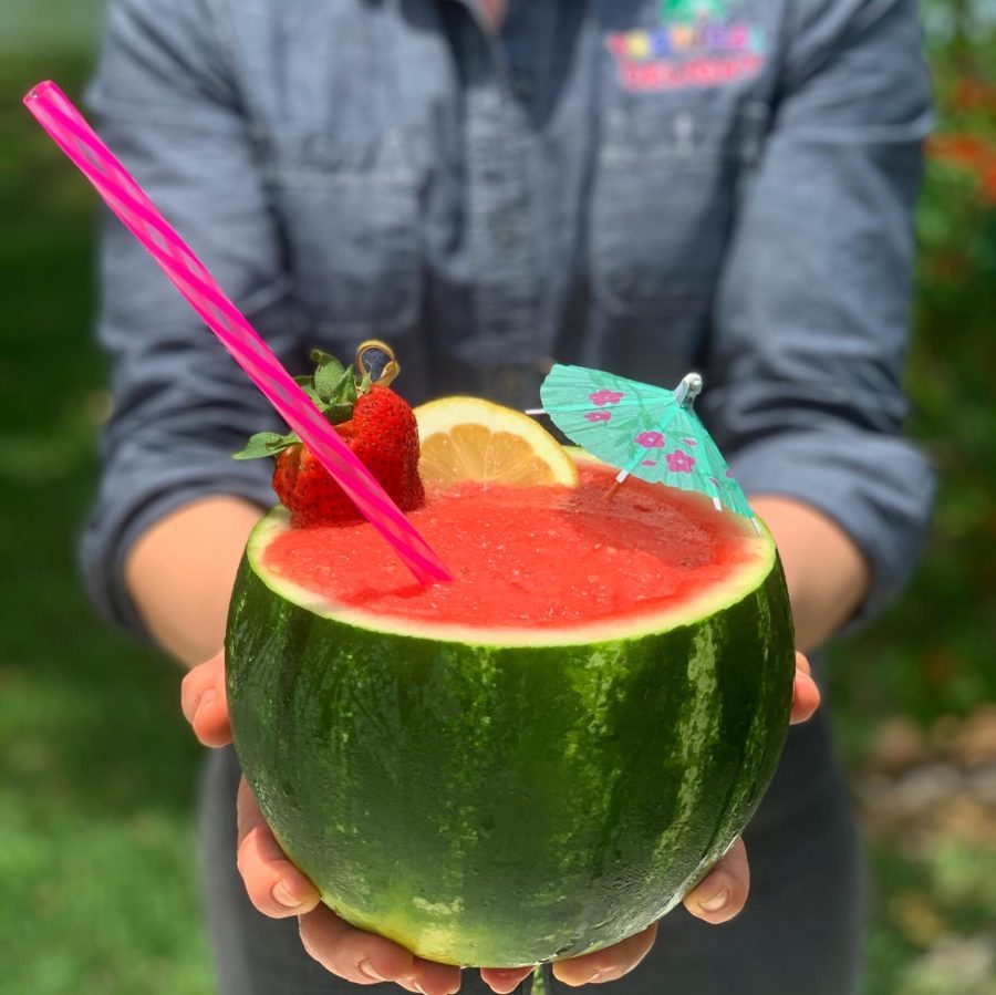 Watermelon Moscato Slushie | Tropical Delight